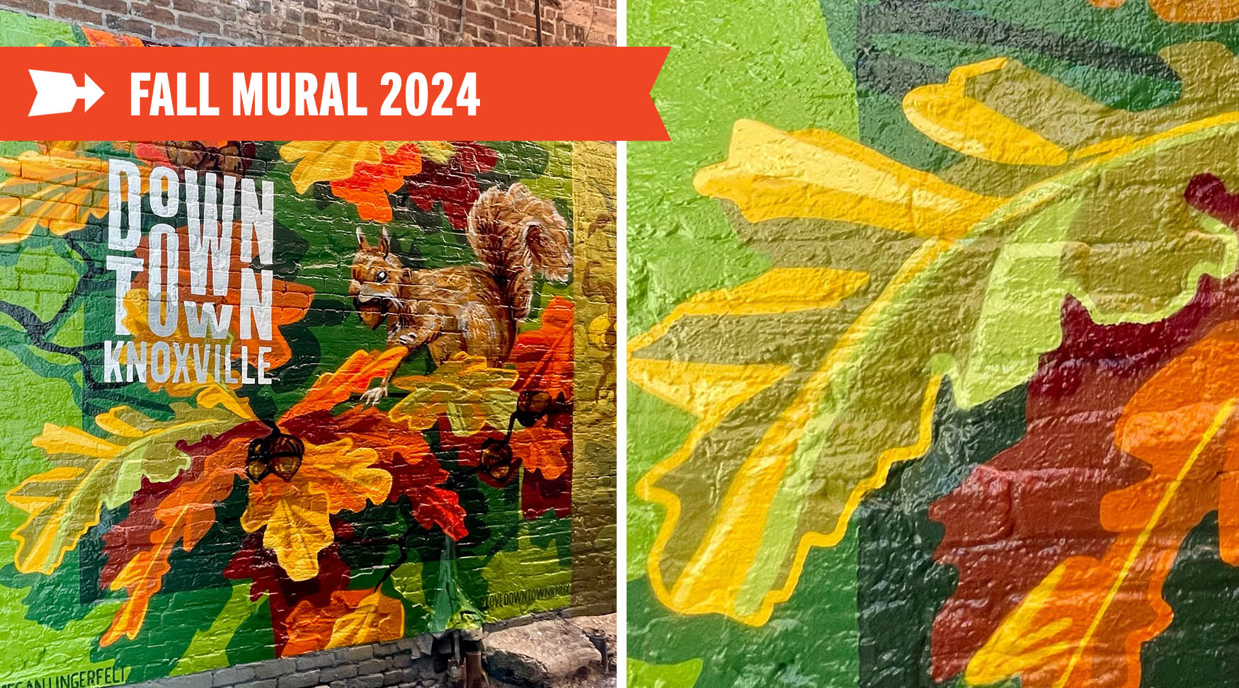 See the Fall Mural | 2024 | Downtown Knoxville