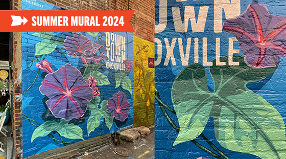 See the Summer Mural | 2024 | Downtown Knoxville