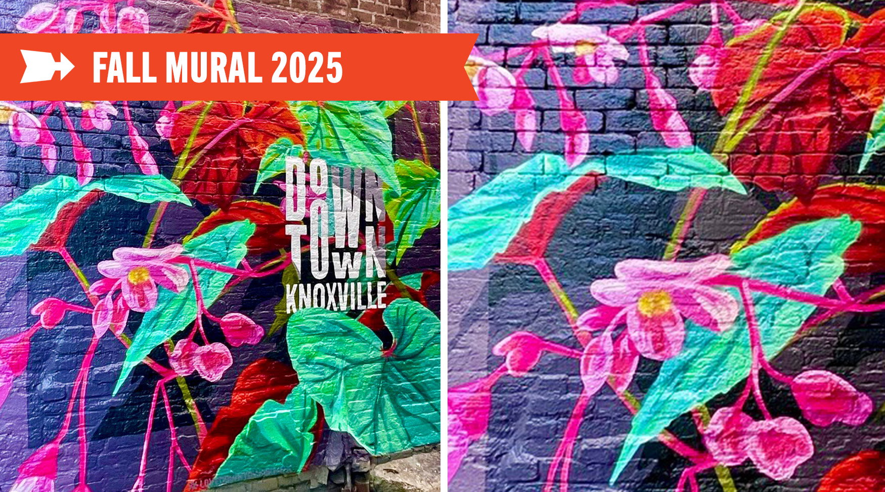 See the Fall Mural | 2025 | Downtown Knoxville
