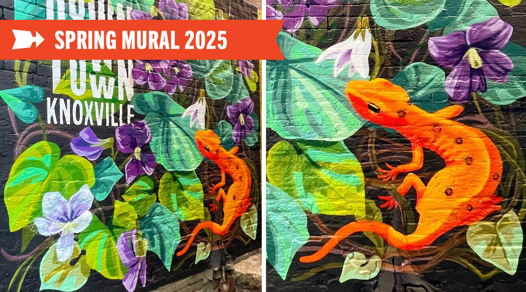 See the Spring Mural | 2025 | Downtown Knoxville