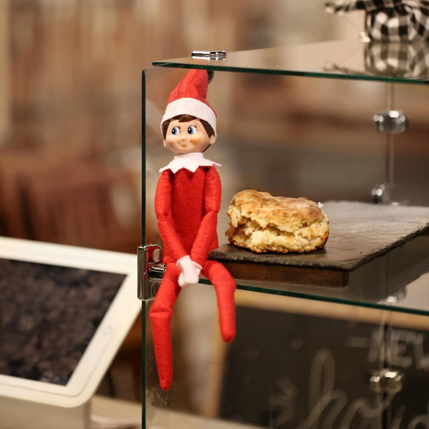 Elf on the Shelf | Downtown Knoxville