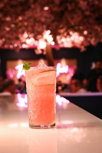 Fiori Bar & Lounge | Downtown Knoxville